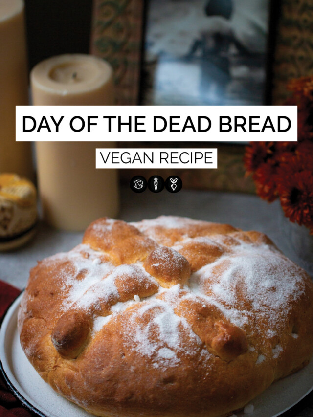 VEGAN DAY OF THE DEAD BREAD – Piloncillo y Vainilla