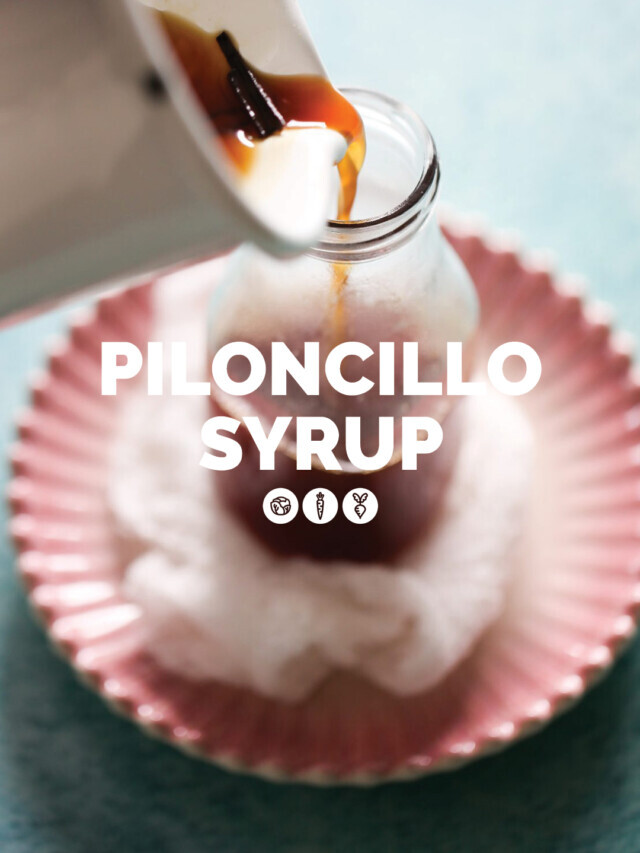 PILONCILLO SYRUP – AleCooks