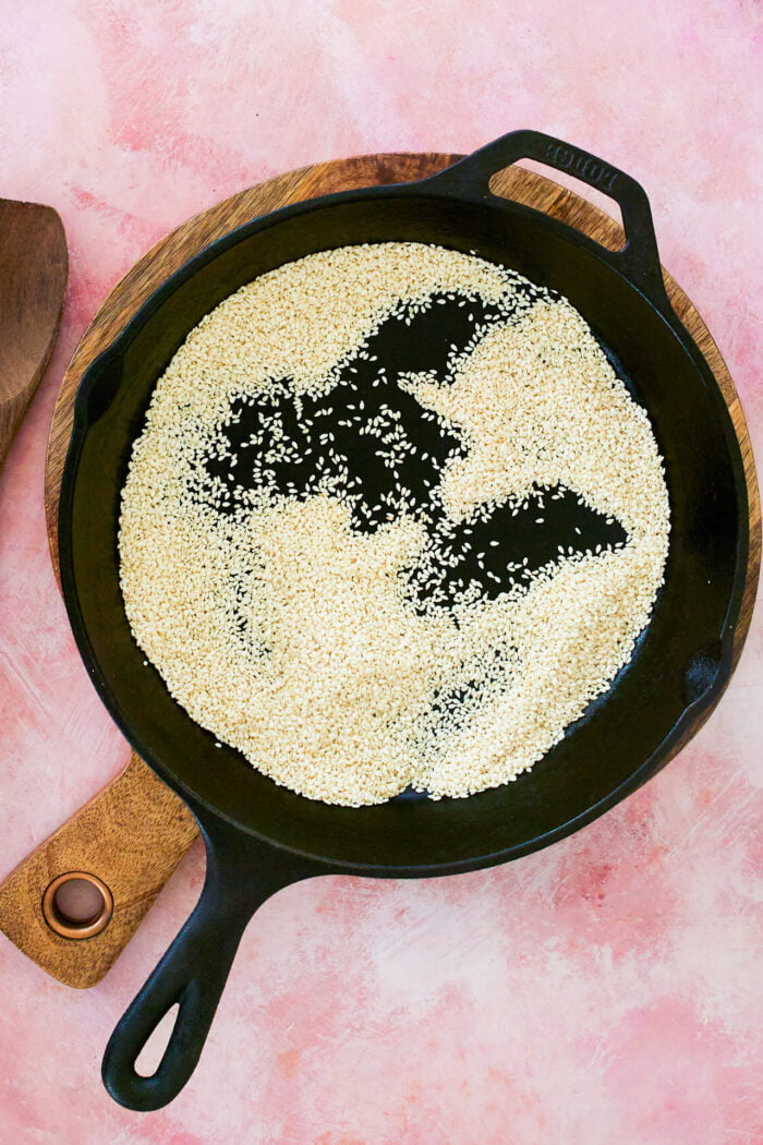 Hibiscus Salsa Macha