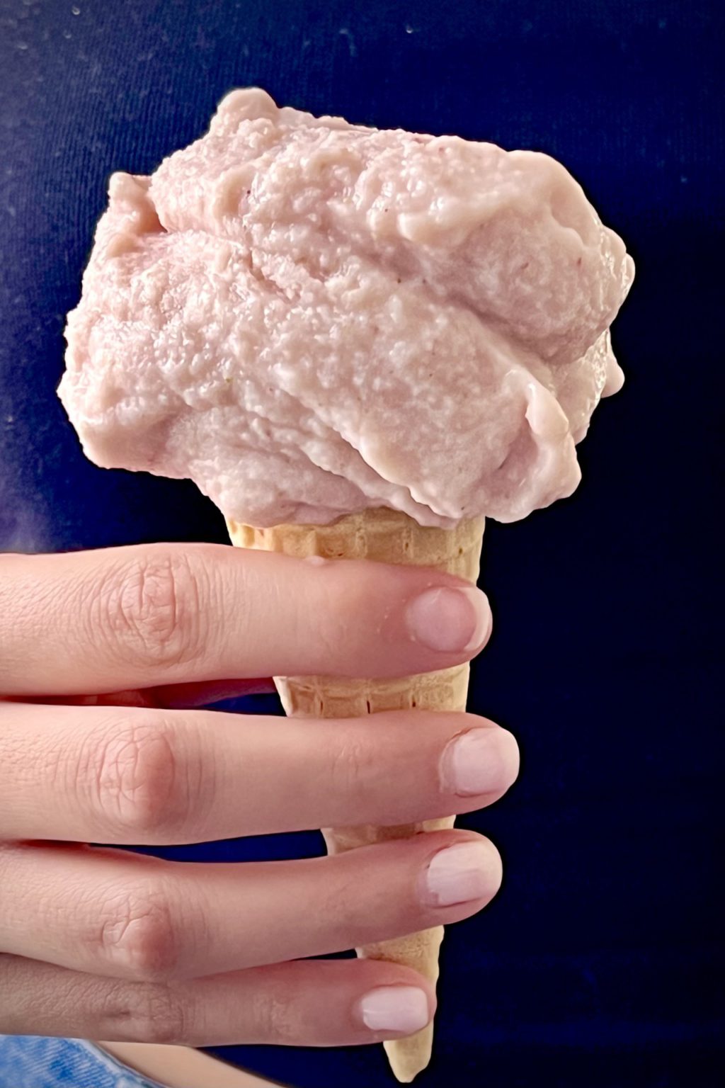 Tofu Ice Cream Recipe (Easy And Delicious)